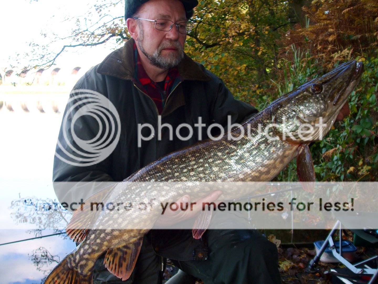 Winter pike | World Sea Fishing Forums